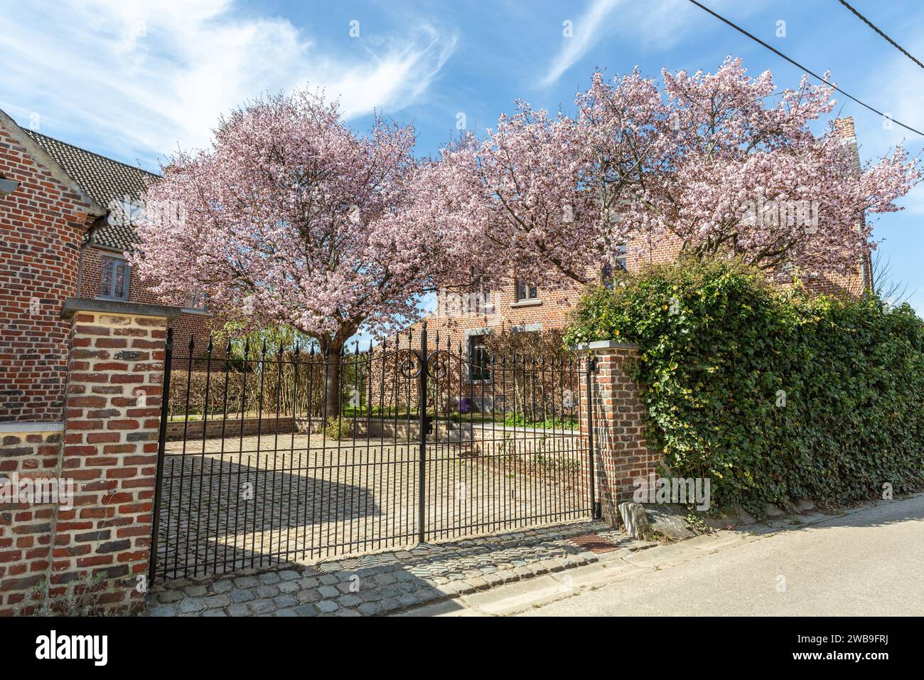 Interior courtyard of a residence shaded by spring flowering trees ...
