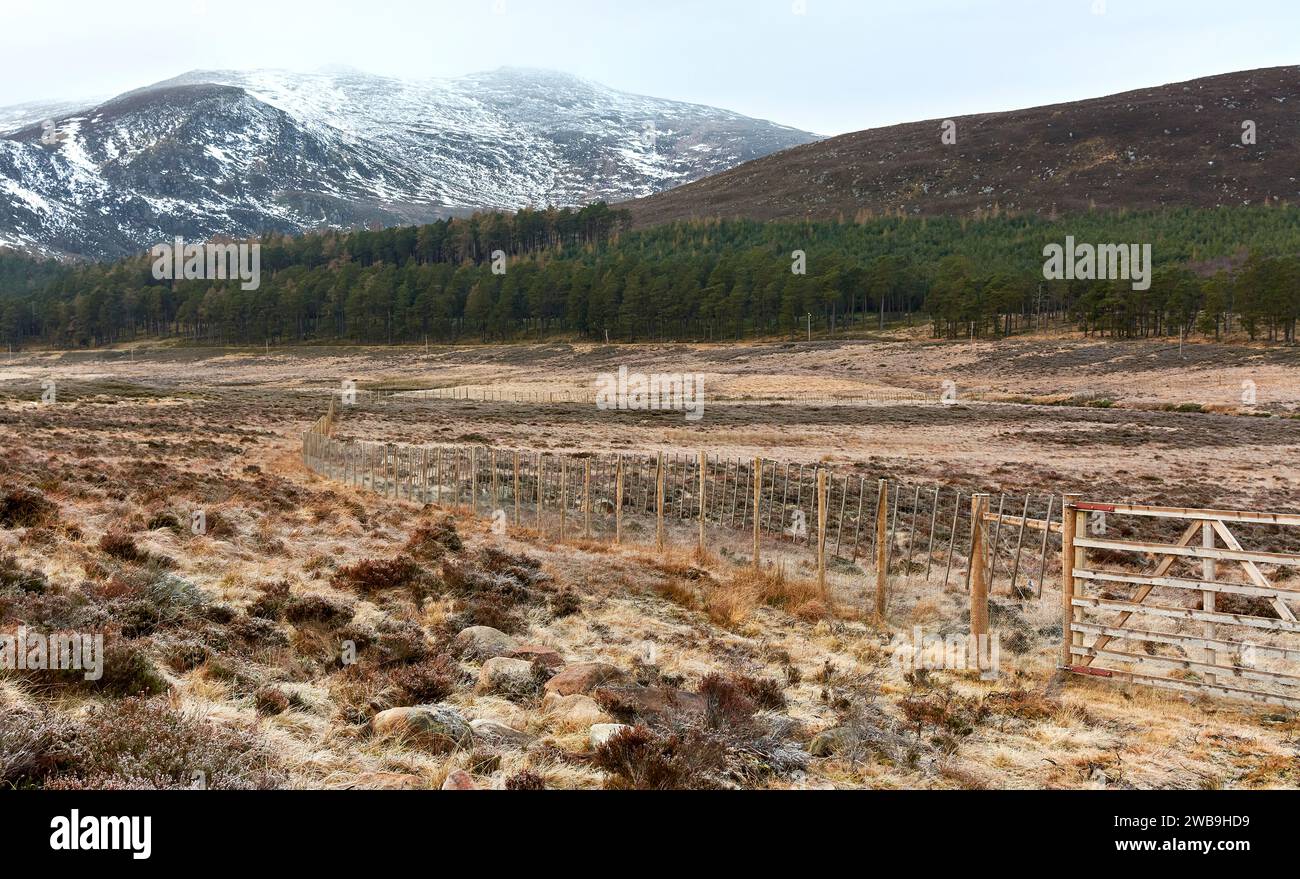 Deer fence rewilding hi-res stock photography and images - Alamy