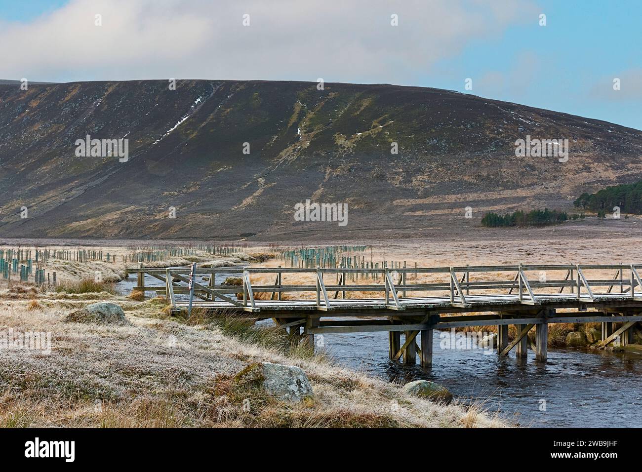 Balmoral Estates in winter River Muick the bridge rewilding the river ...