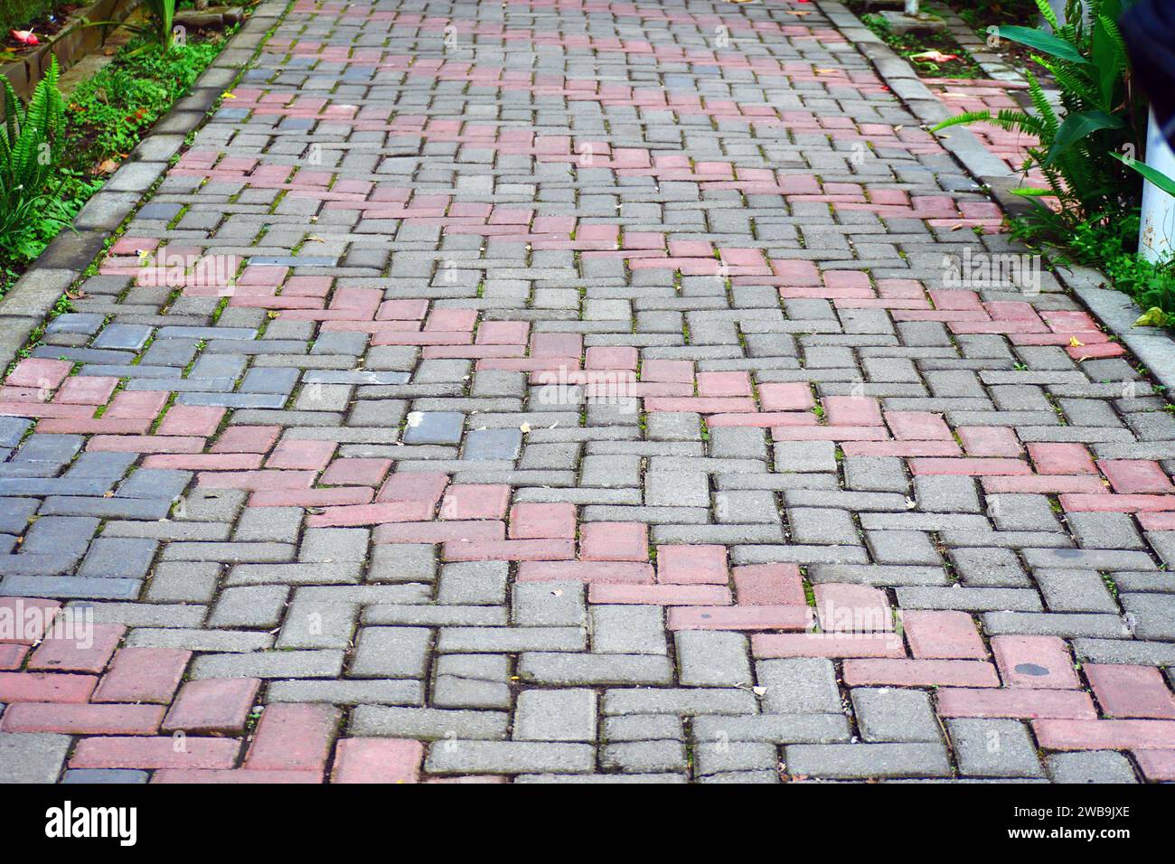 Brick paving floor, paving stone or empty paving blocks in perspective ...