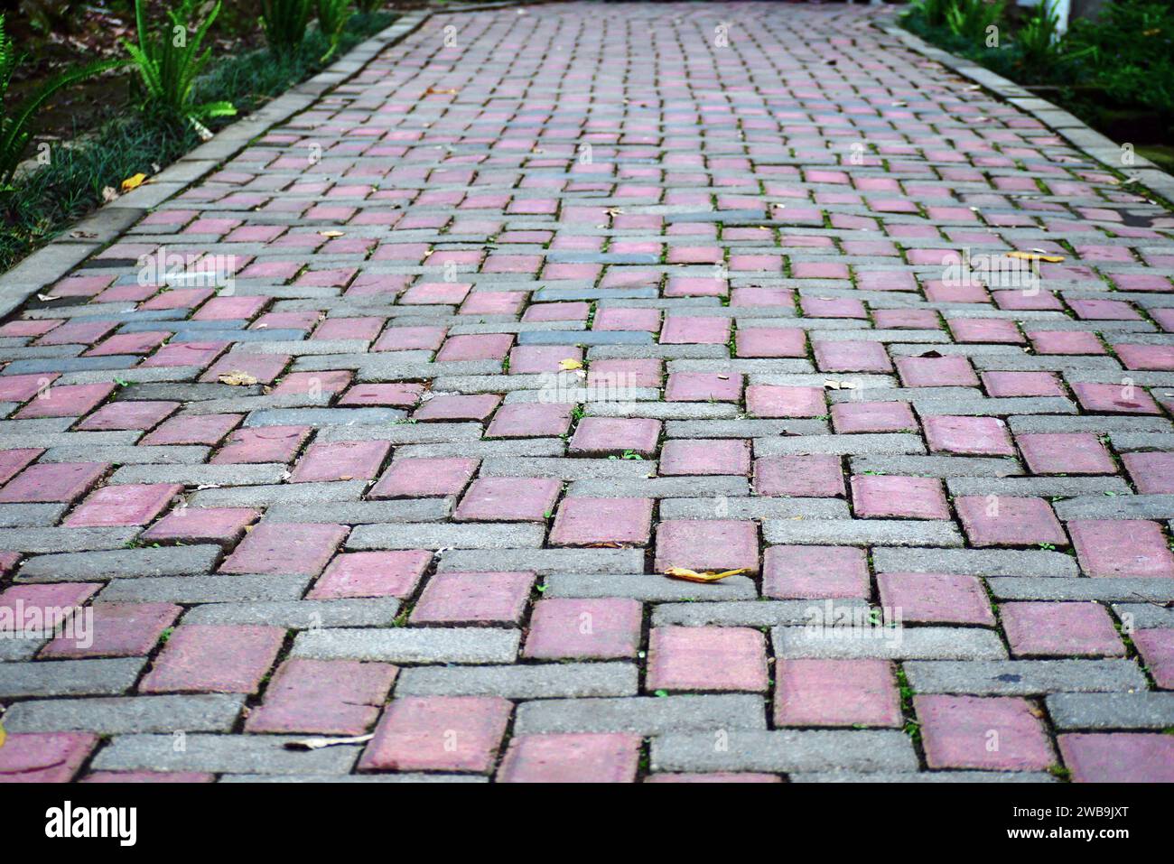 Brick paving floor, paving stone or empty paving blocks in perspective ...