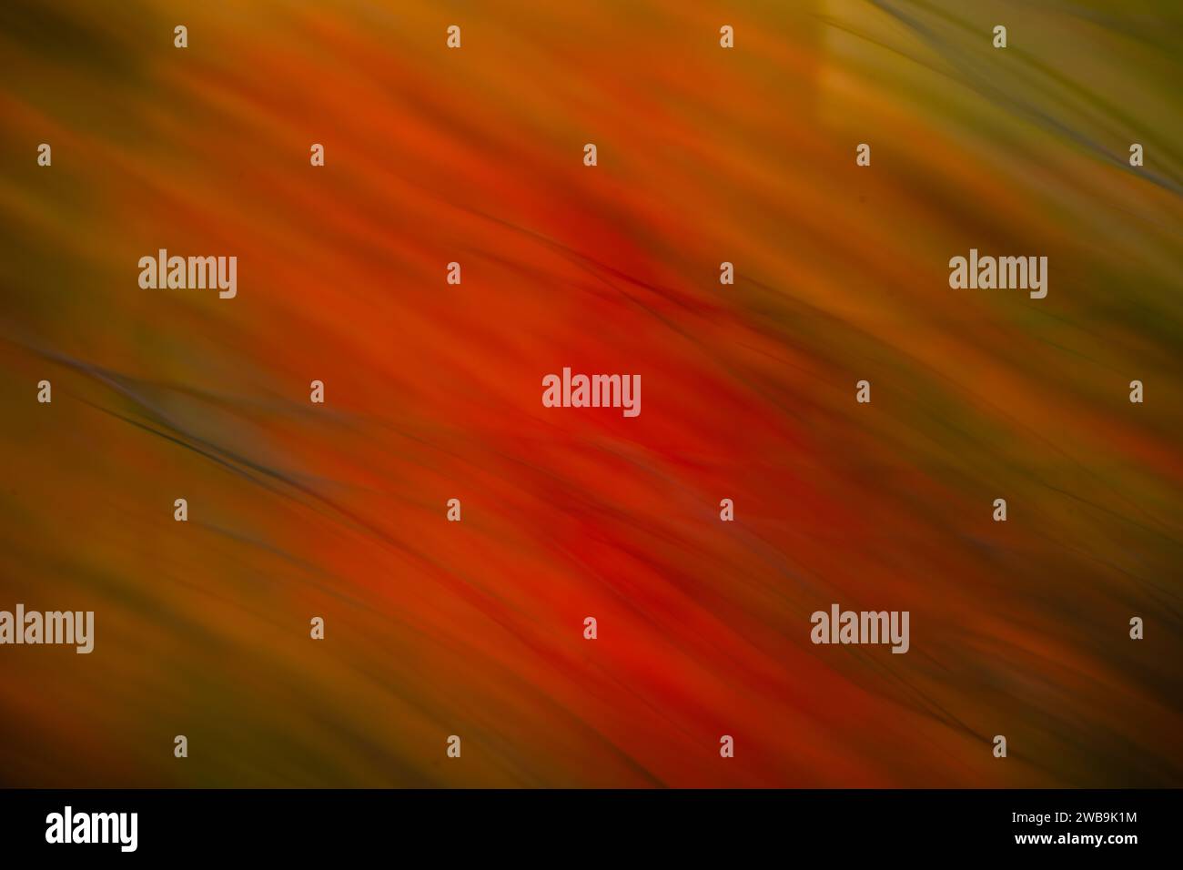 Long colors hi-res stock photography and images - Alamy