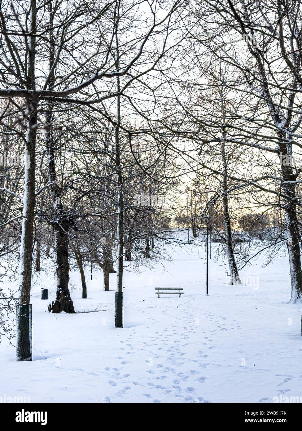 A snow-covered bench in a park in Helsinki, Finland in January Stock ...
