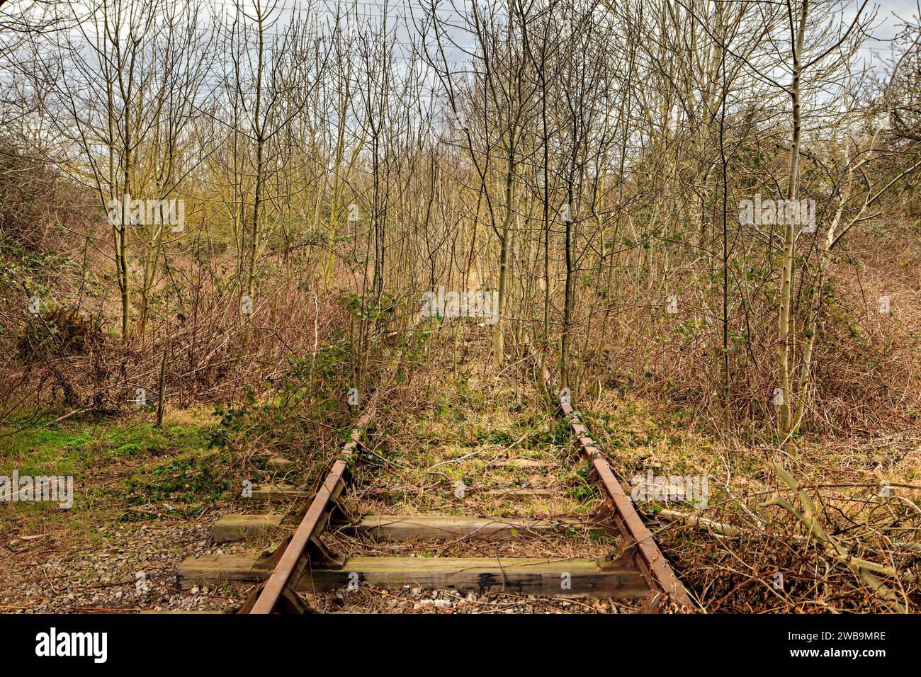 Overgrown railway track hi-res stock photography and images - Alamy