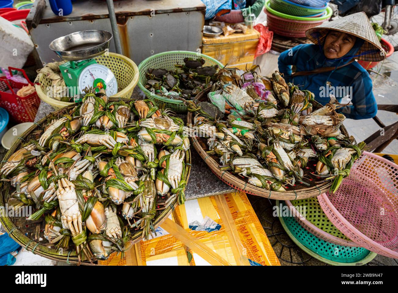 The Hoi An fish market Stock Photo - Alamy