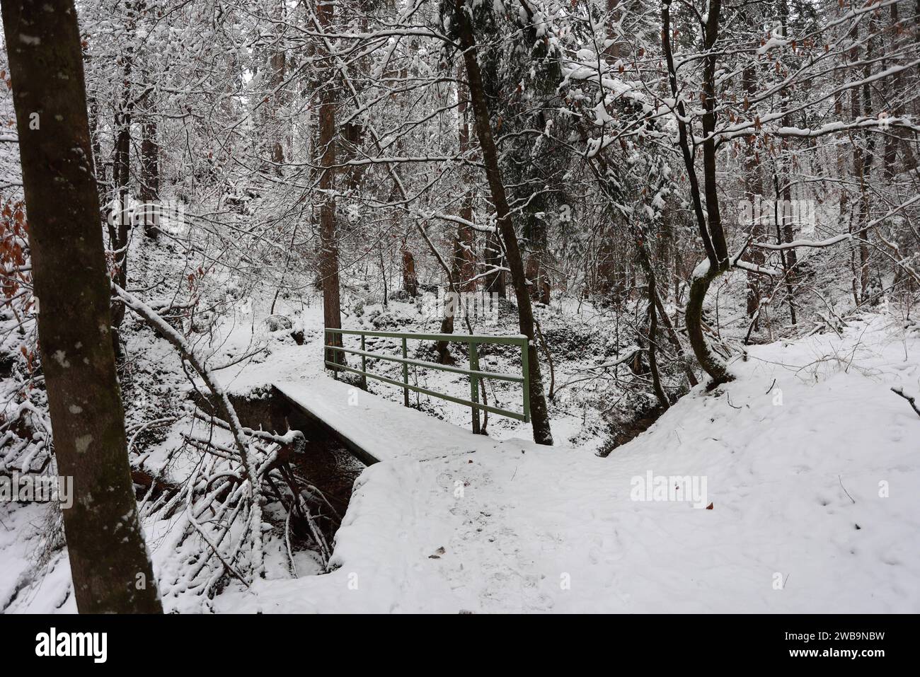 Tutzing, Bayern, Deutschland 09. Januar 2024: Ein Wintertag in Tutzing ...
