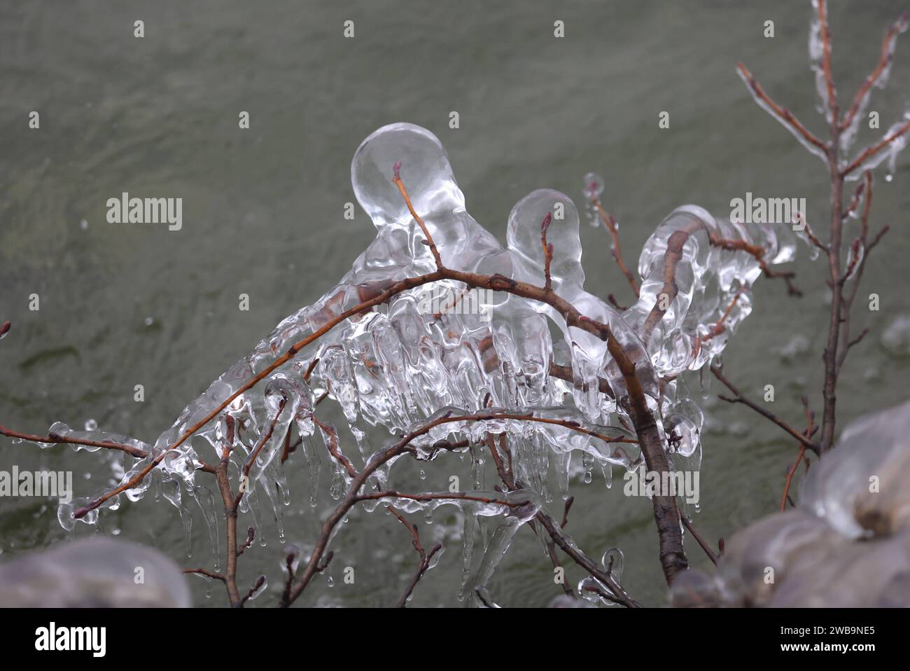 Tutzing, Bayern, Deutschland 09. Januar 2024: Ein Wintertag in Tutzing ...