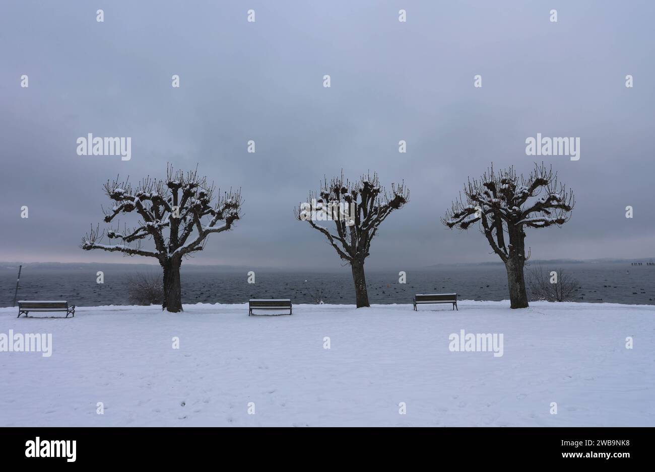 Tutzing, Bayern, Deutschland 09. Januar 2024: Ein Wintertag in Tutzing ...