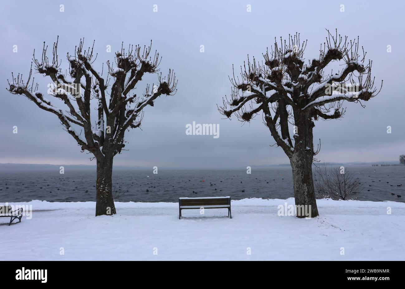 Tutzing, Bayern, Deutschland 09. Januar 2024: Ein Wintertag in Tutzing ...