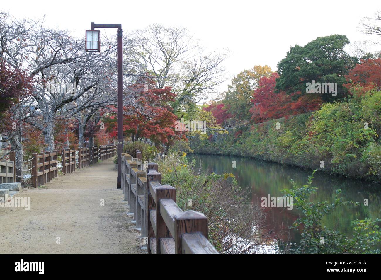 Senhime's path and autumn leaves in the early morning in Himeji, Japan ...