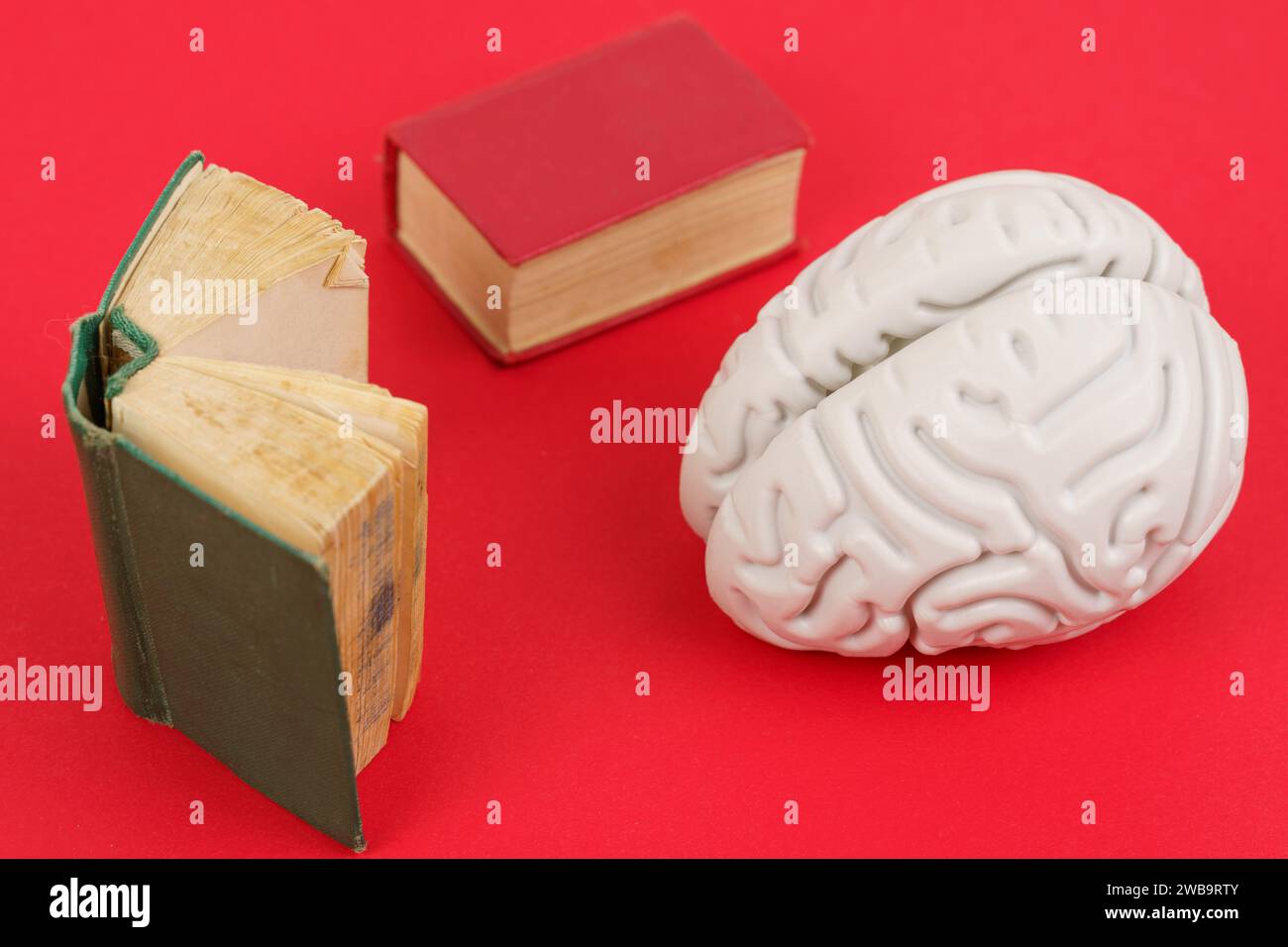 The human brain is absorbed in studying textbooks - science. Brain with ...