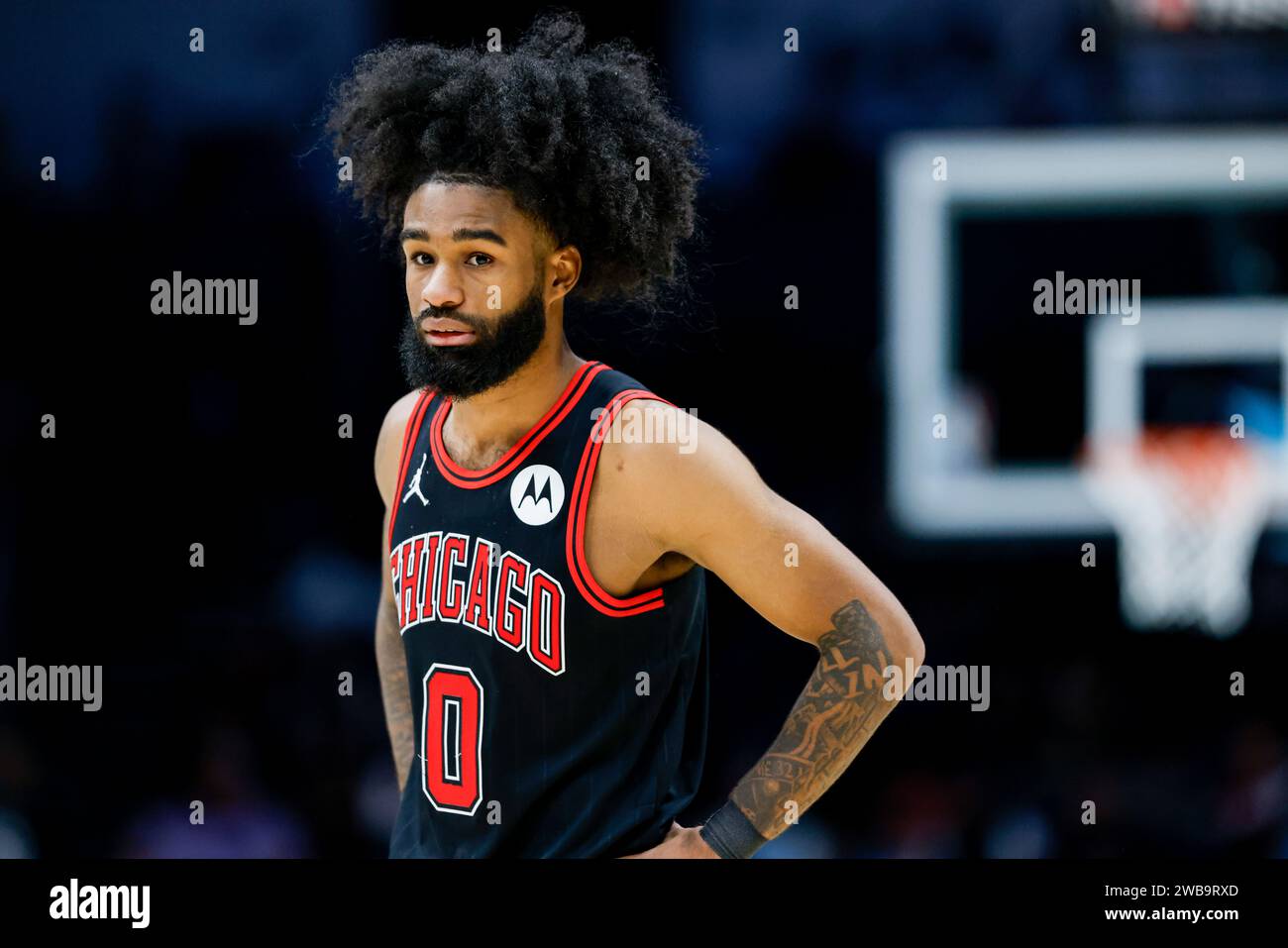 Chicago Bulls guard Coby White stands on the court during the second ...