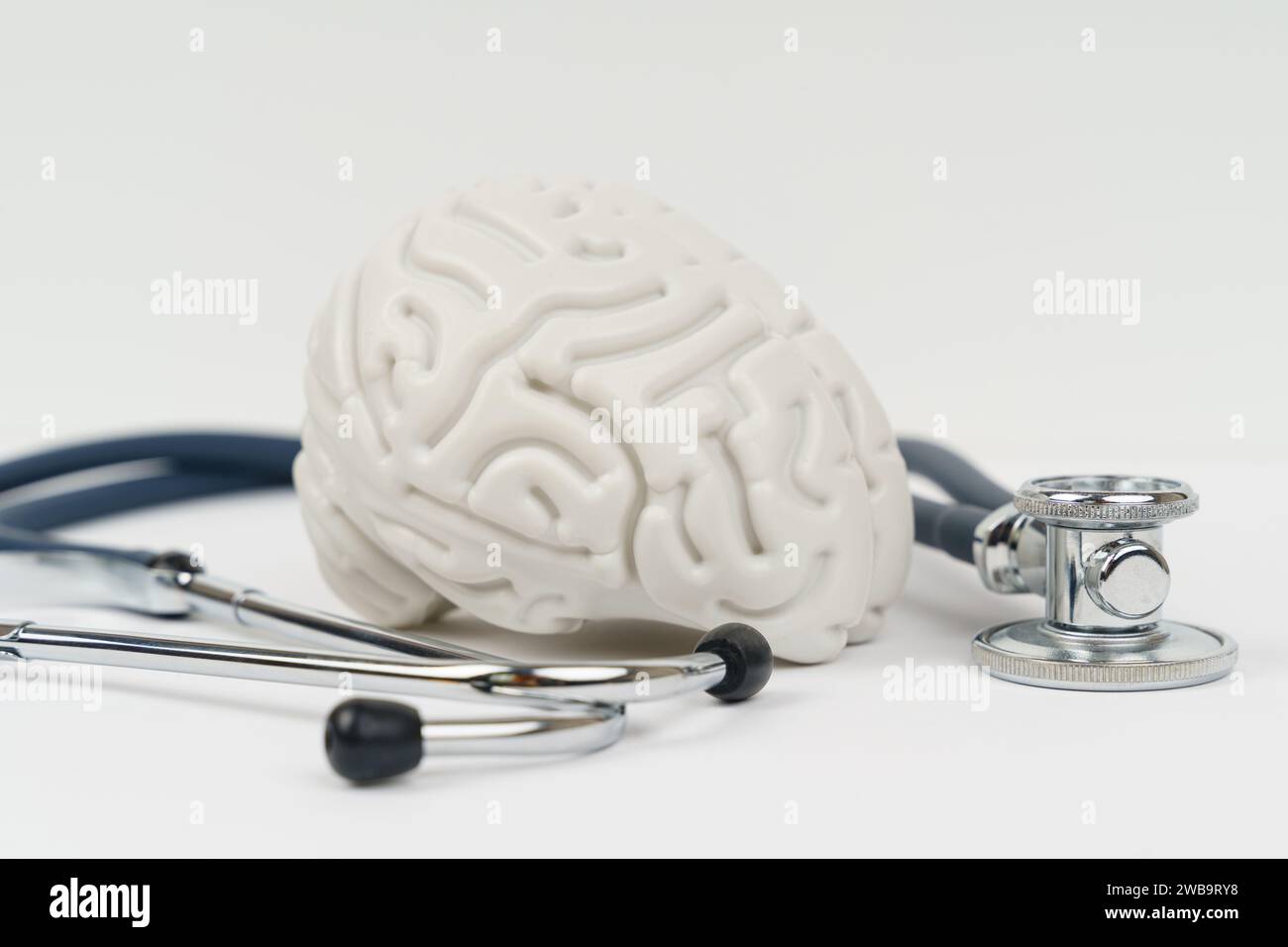 Model of a human brain with a stethoscope around it on a white ...