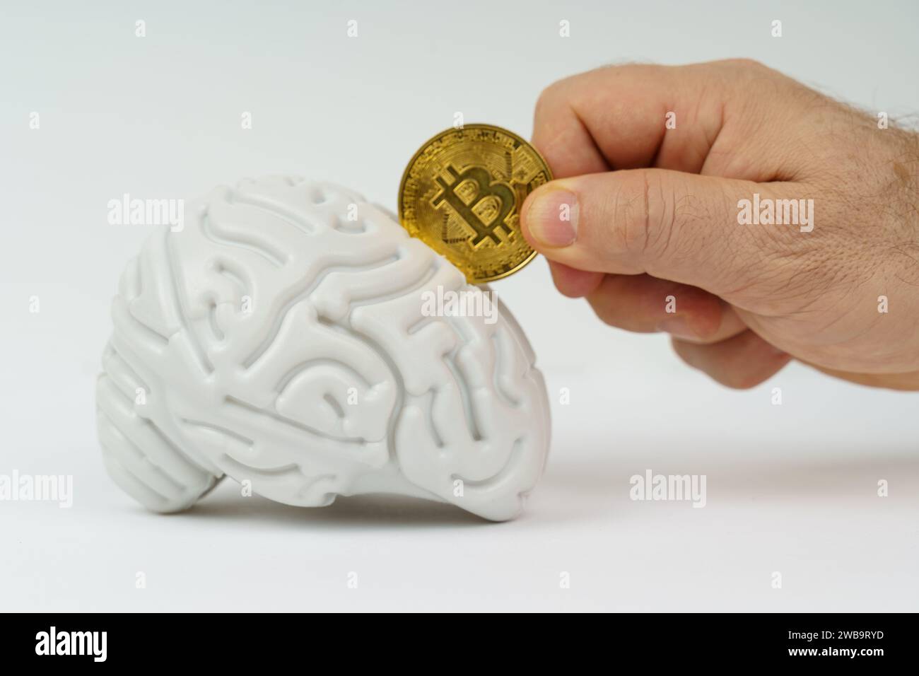 Cryptocurrency concept. On a white background, a model of the brain and ...