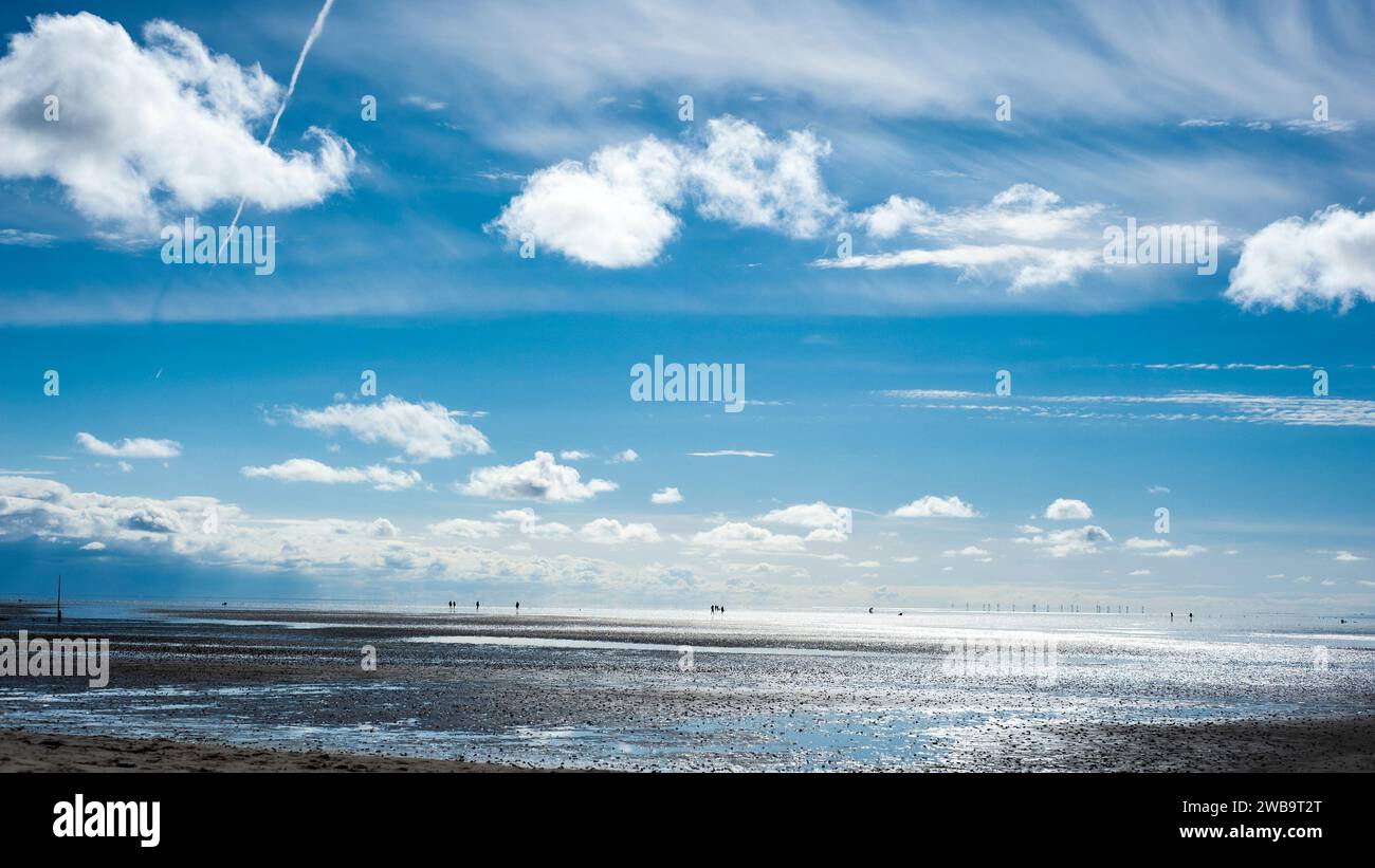 Wadden 1 hi-res stock photography and images - Alamy