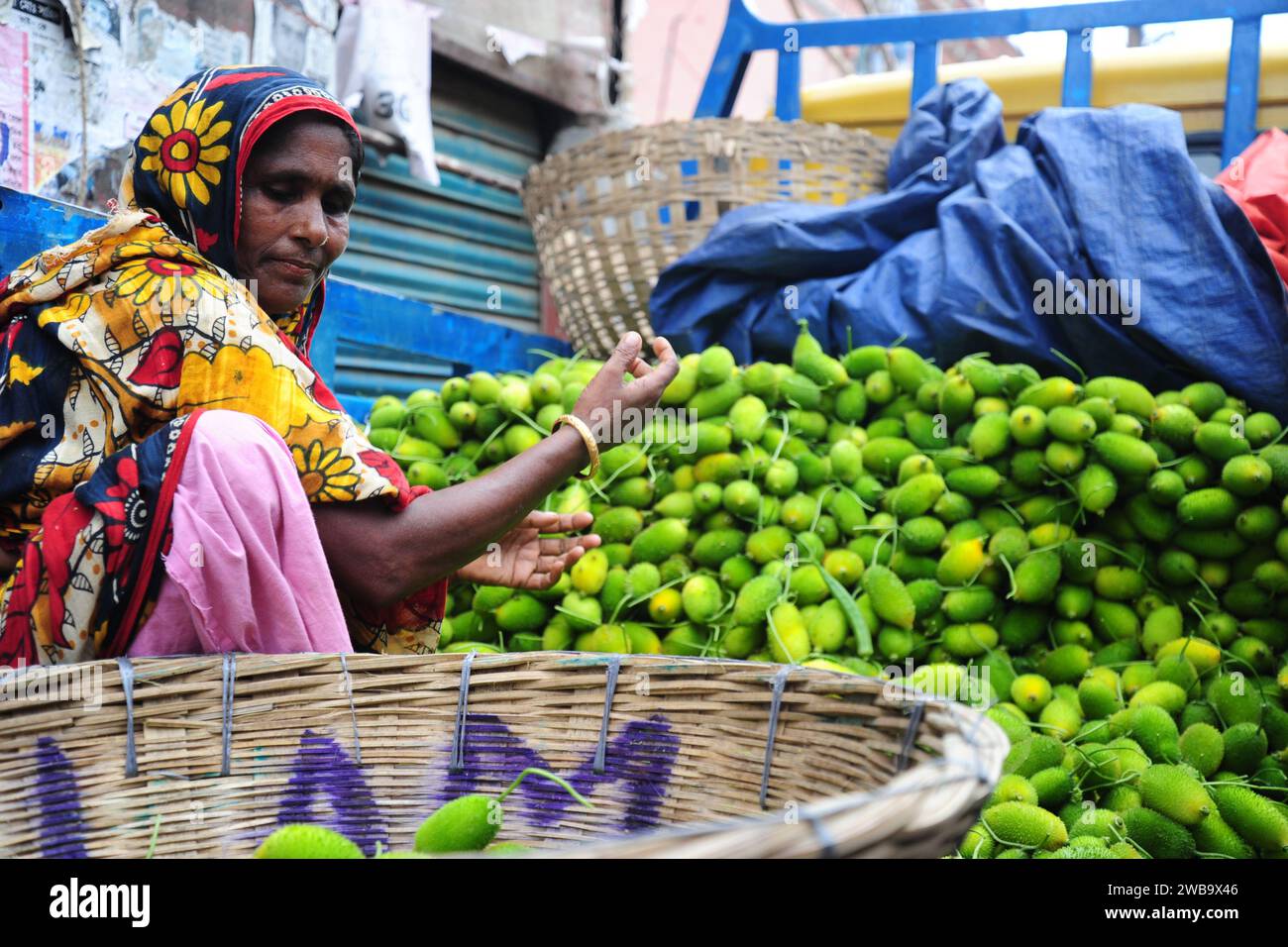 Fresh and green spiny gourd vegetables ready for sale in the market ...