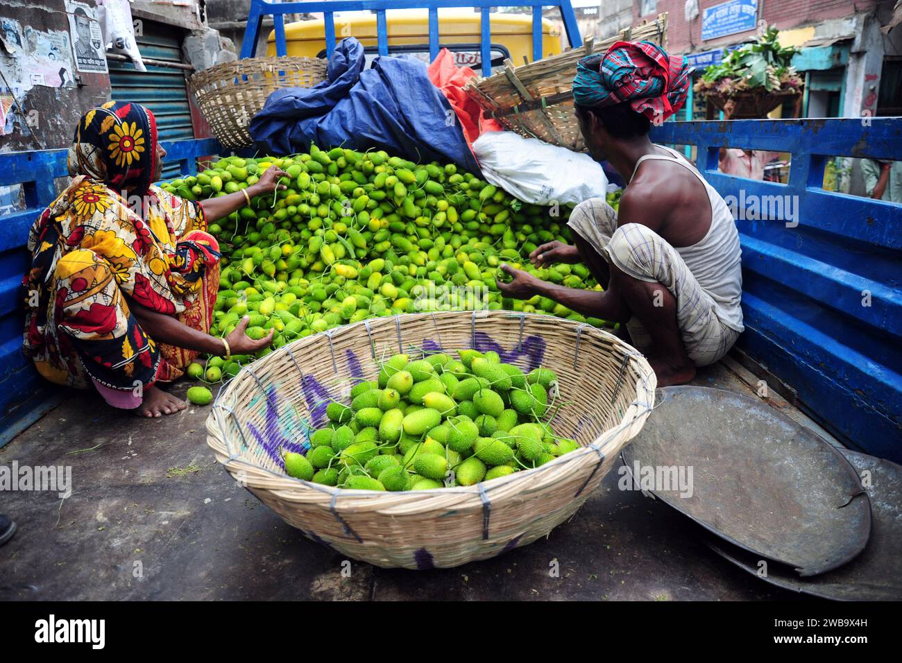 Fresh and green spiny gourd vegetables ready for sale in the market ...