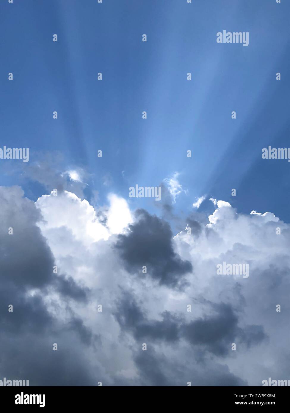 Rain vertical hi-res stock photography and images - Alamy