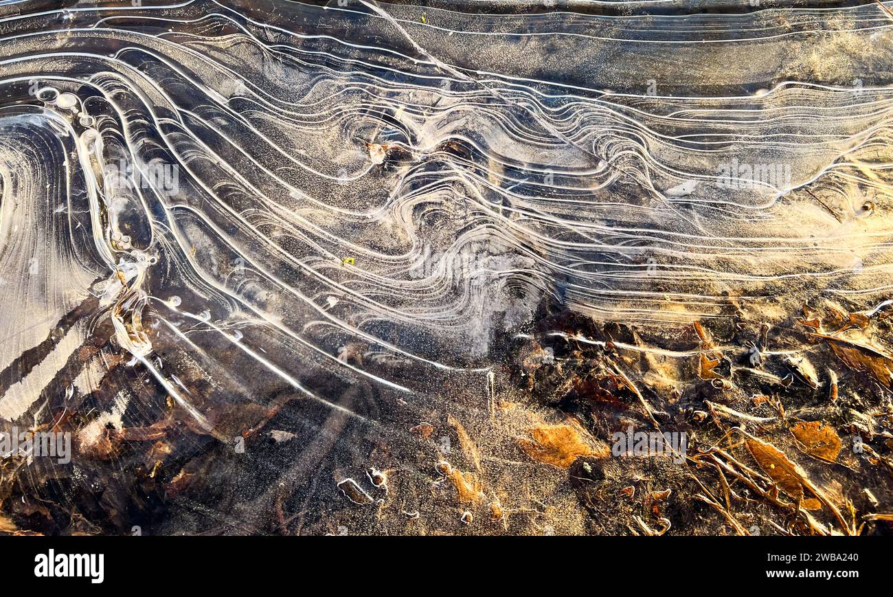 Laatzen, Germany. 09th Jan, 2024. Layers of ice form in the Leinemasch ...