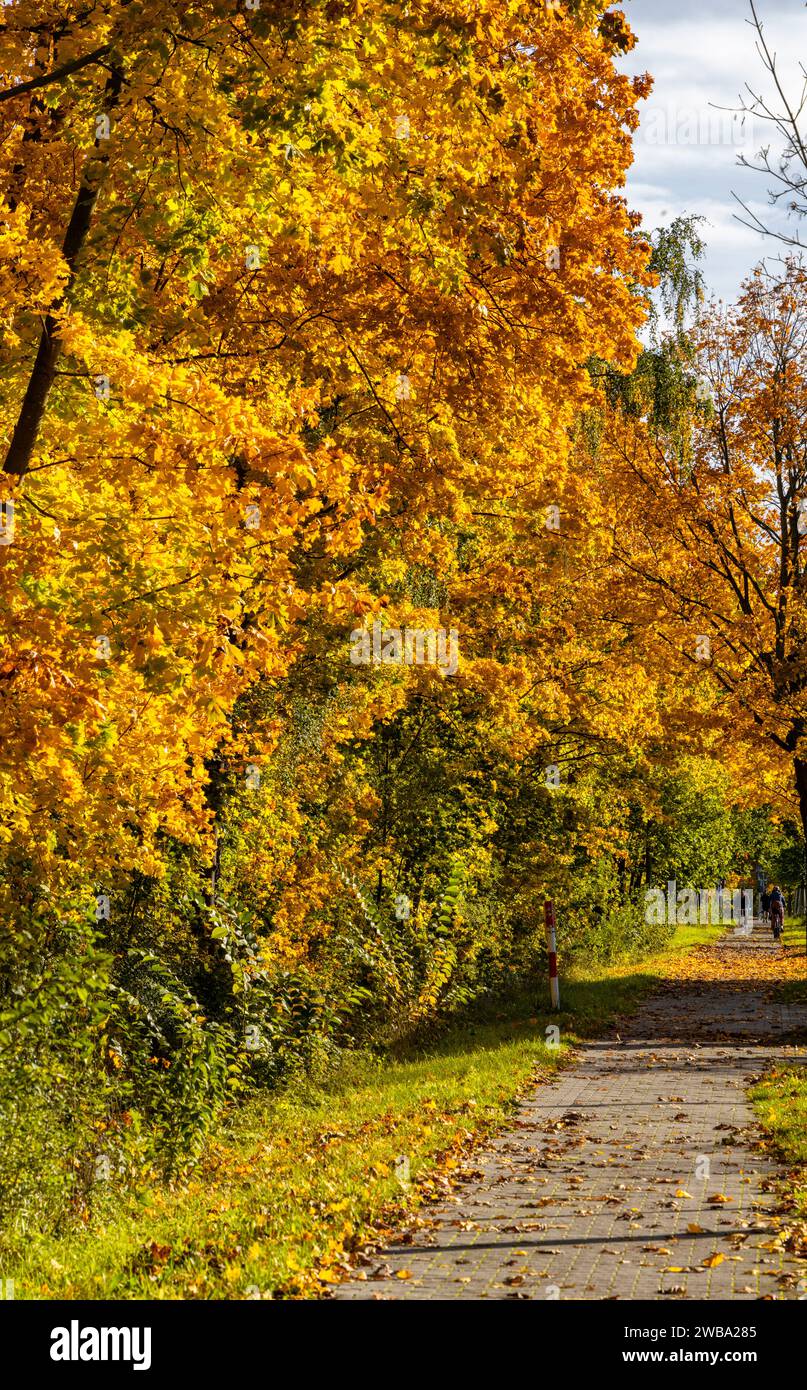 Berlin linienbus hi-res stock photography and images - Alamy