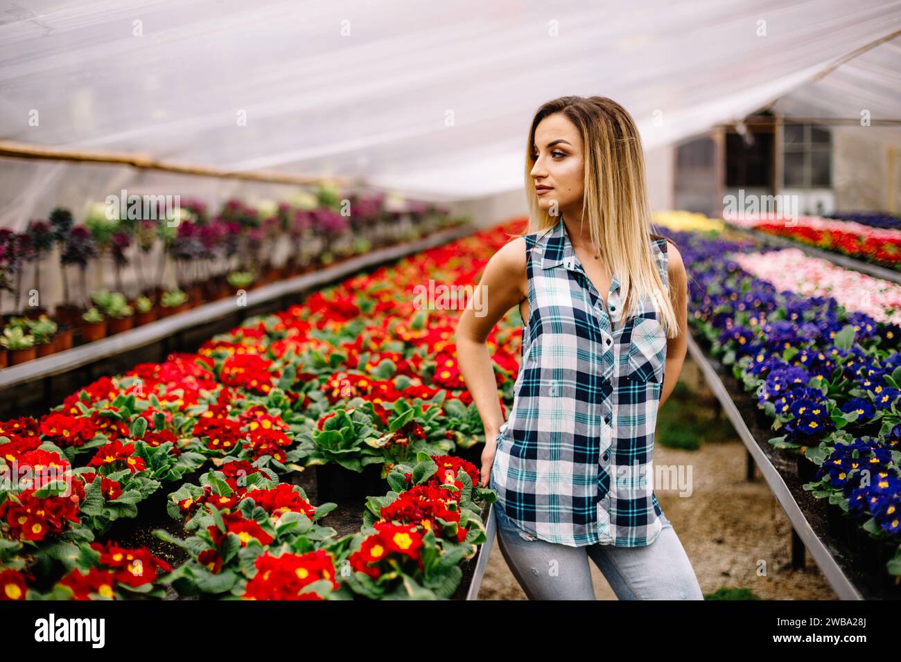 Women gardener in botanic garden,planting flowers and decorate.Smiling ...