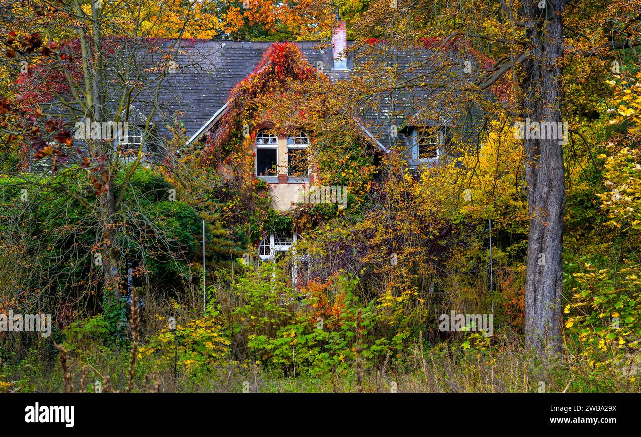 Herbstfafrben hi-res stock photography and images - Alamy