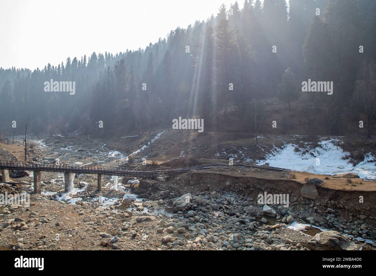 Horses are seen grazing in a meadows at famous tourist resort Yusmarg ...
