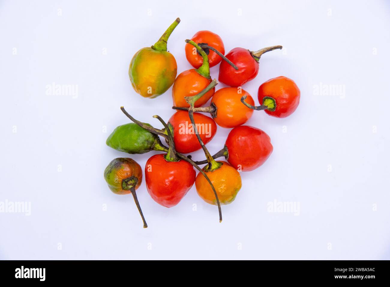 Dalle Khursani, Green Chilli Akabare Khursani, red cherry pepper chilli ...