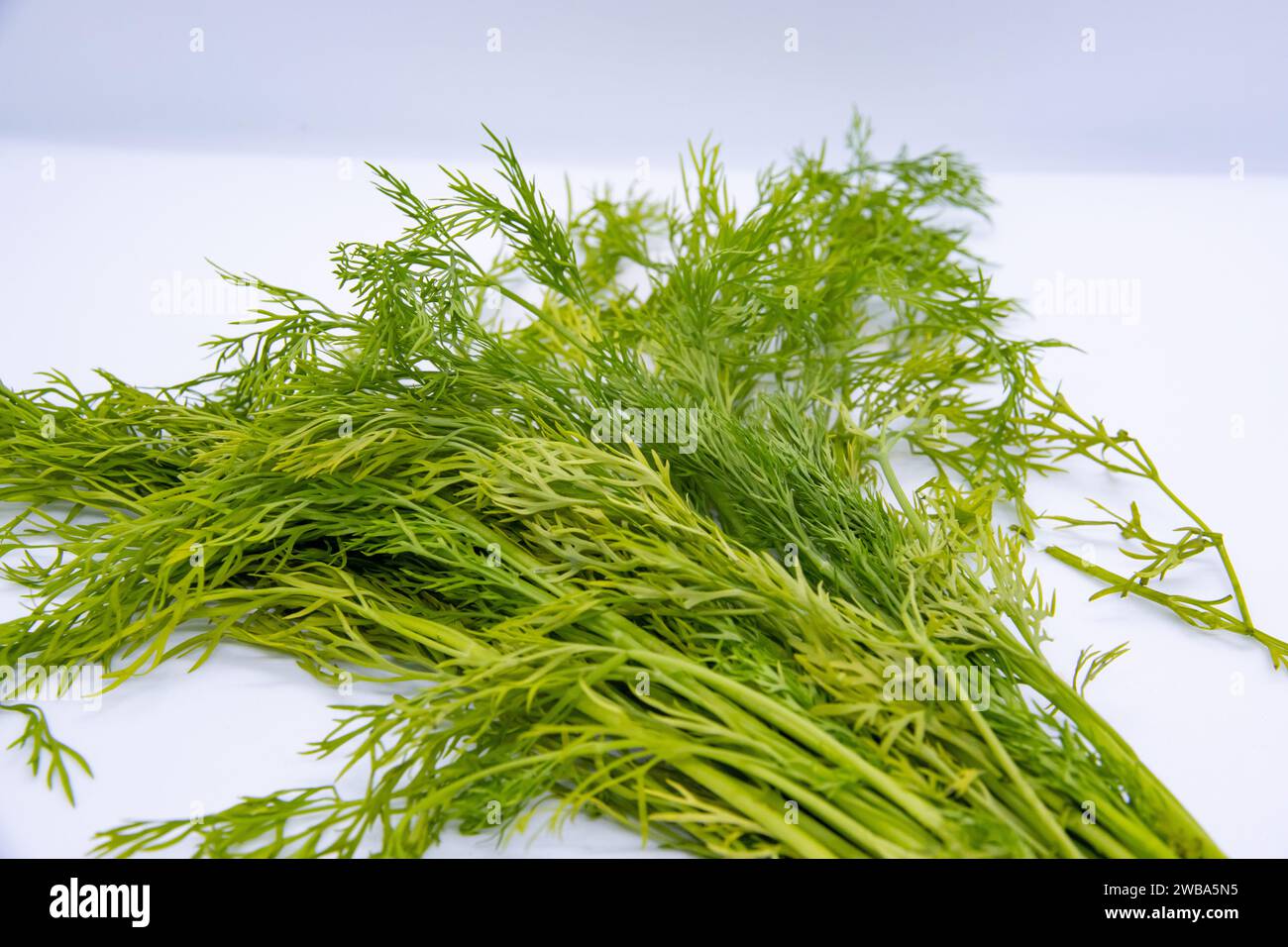 Dill Leaves aka Saunf Leaf Vegatable in White Background Isolated Stock ...