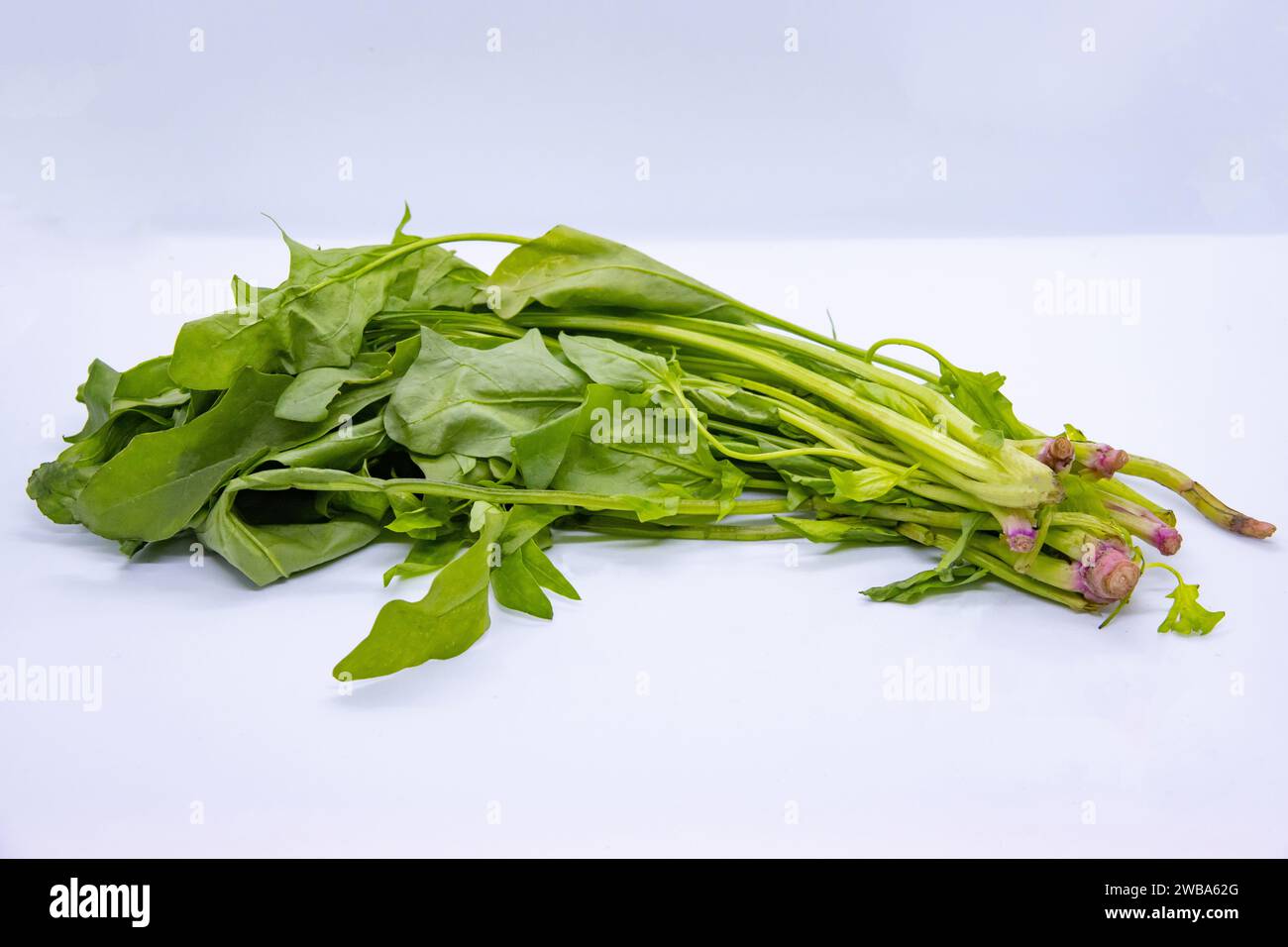 Organic Leafy Green Spinach Vegetable in White Background Stock Photo ...