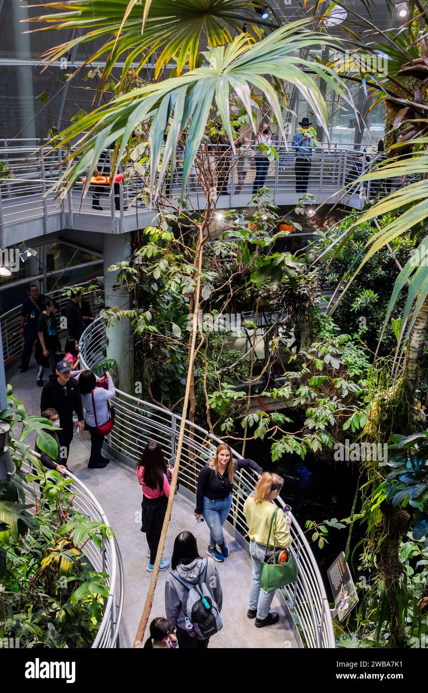 Tourists and locals enjoy the misty and lush rainforest exhibit at the ...