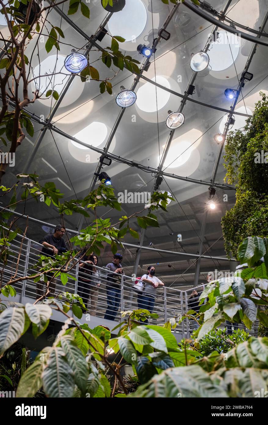 Tourists and locals enjoy the misty and lush rainforest exhibit at the ...