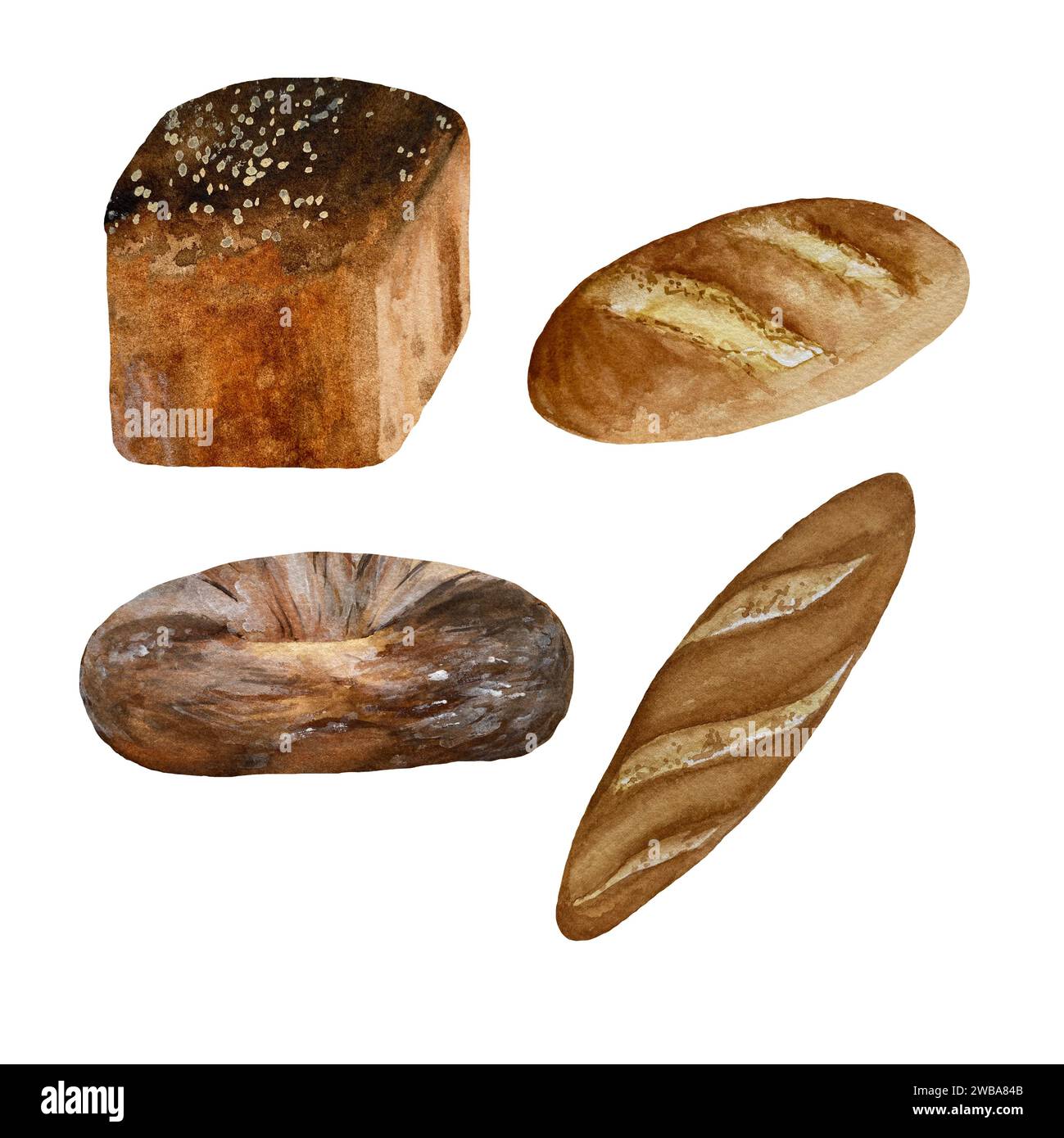 Baguette watercolor painting hi-res stock photography and images - Alamy