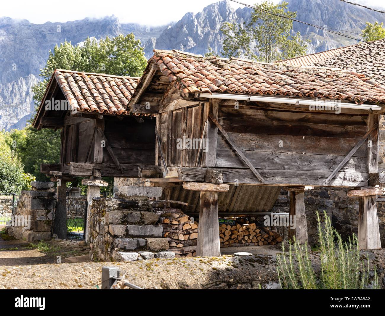 Horreos grain stores old style granaries Built on pillars with a large ...