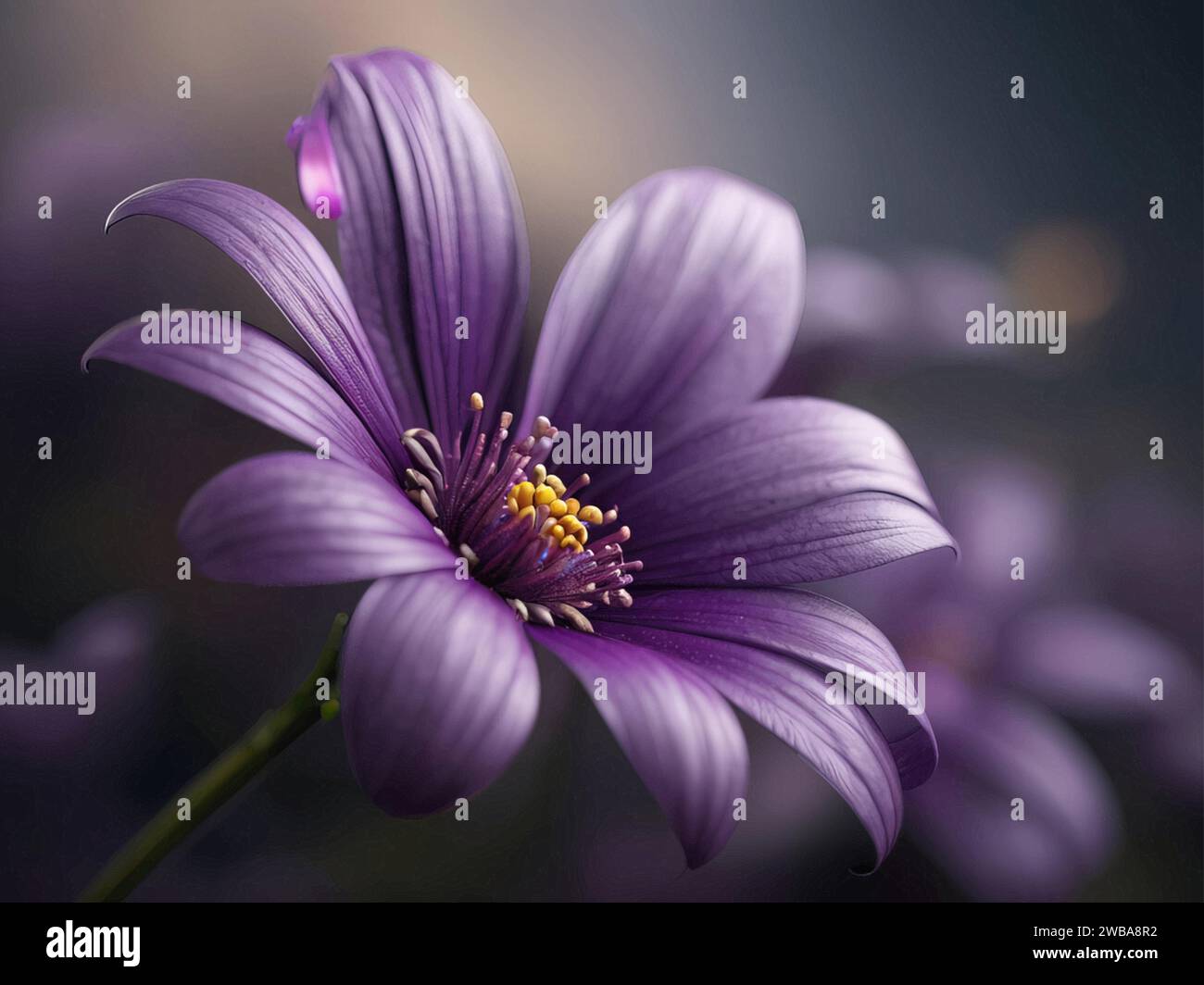 Beautiful wild flowers close up Stock Vector Images - Alamy