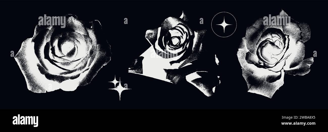Roses photocopy effect negative elements set vector illustration Stock ...