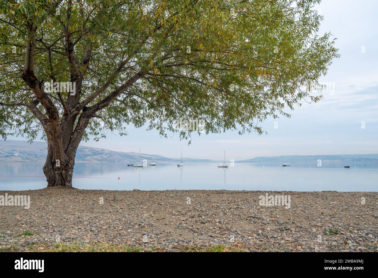 Tbilisi sea, reservoir and boats with deflated sails Stock Photo - Alamy