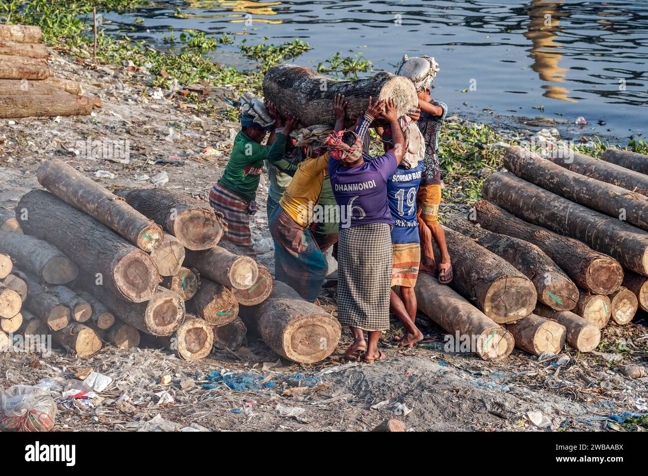 Porters transport heavy tree trunks on the banks of the Buriganga River ...