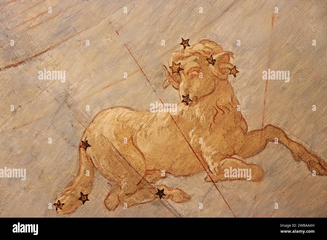 Rocaille interior italy hi-res stock photography and images - Alamy