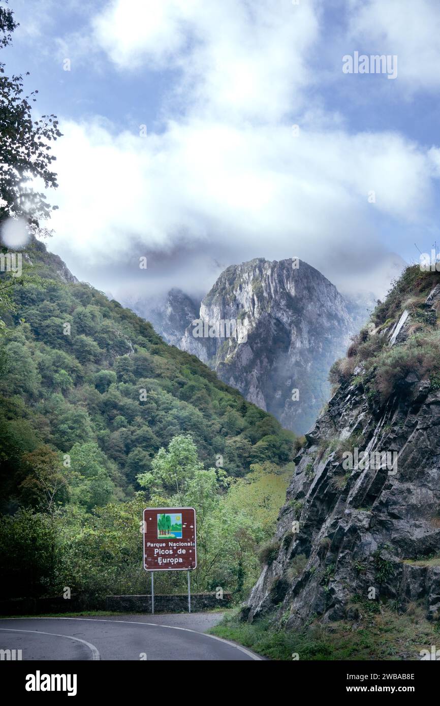 Ponga national park asturias hi-res stock photography and images - Alamy