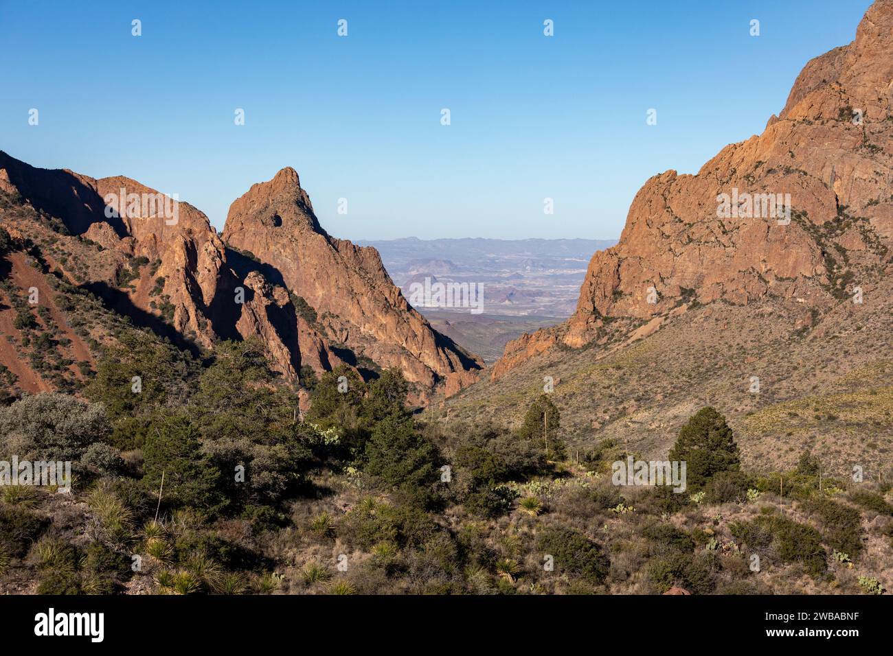 The Window from Chisos Basin in Big Bend NP, Texas Stock Photo - Alamy