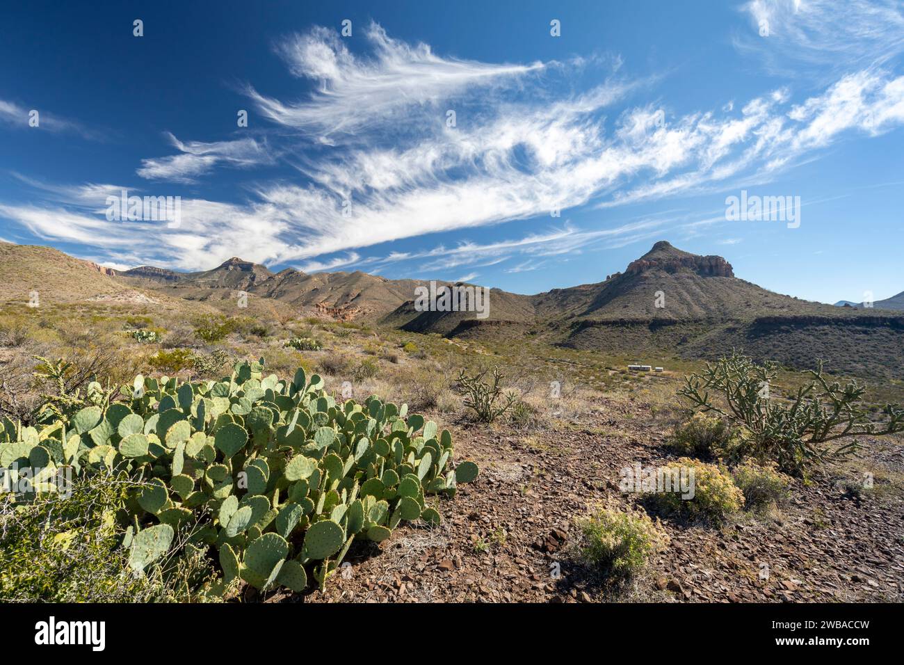 View of Homer Wilson ranch in Chisos Mountains in Big Bend NP in Texas ...