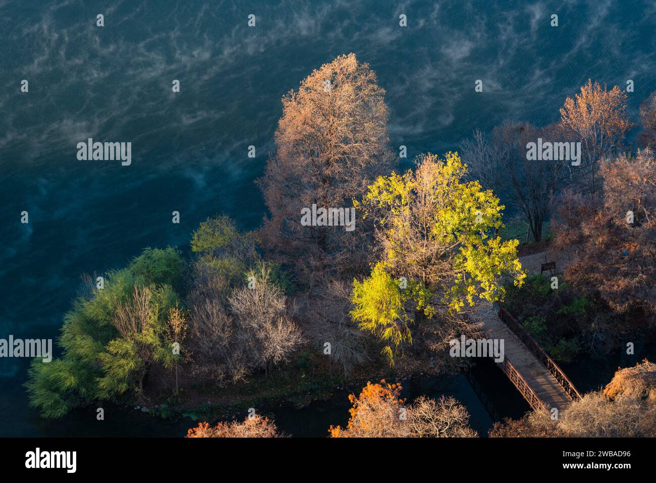 Mist rising on Ladybird Lake with fall foliage along nature trail in ...