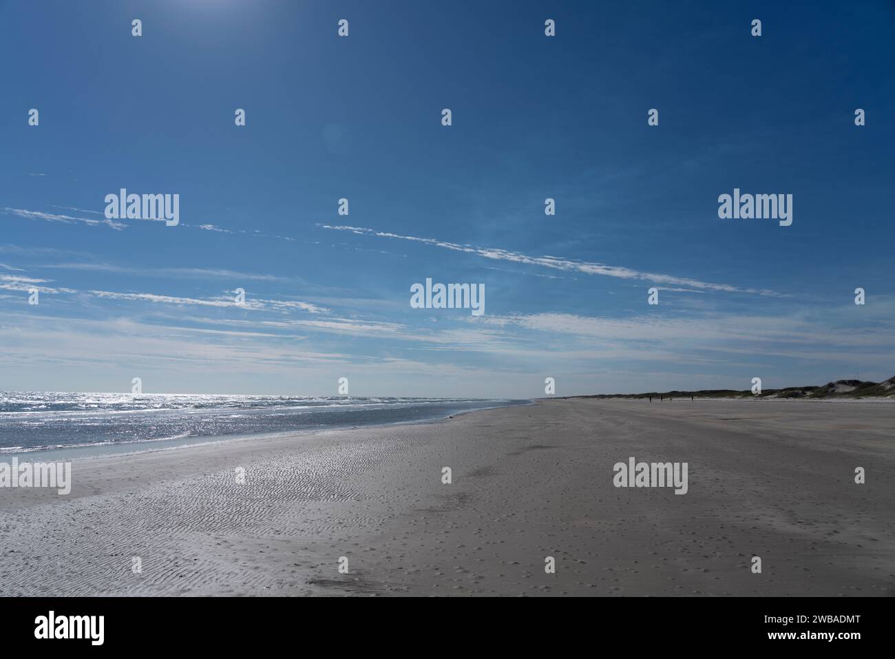 Padre island beach hi-res stock photography and images - Alamy