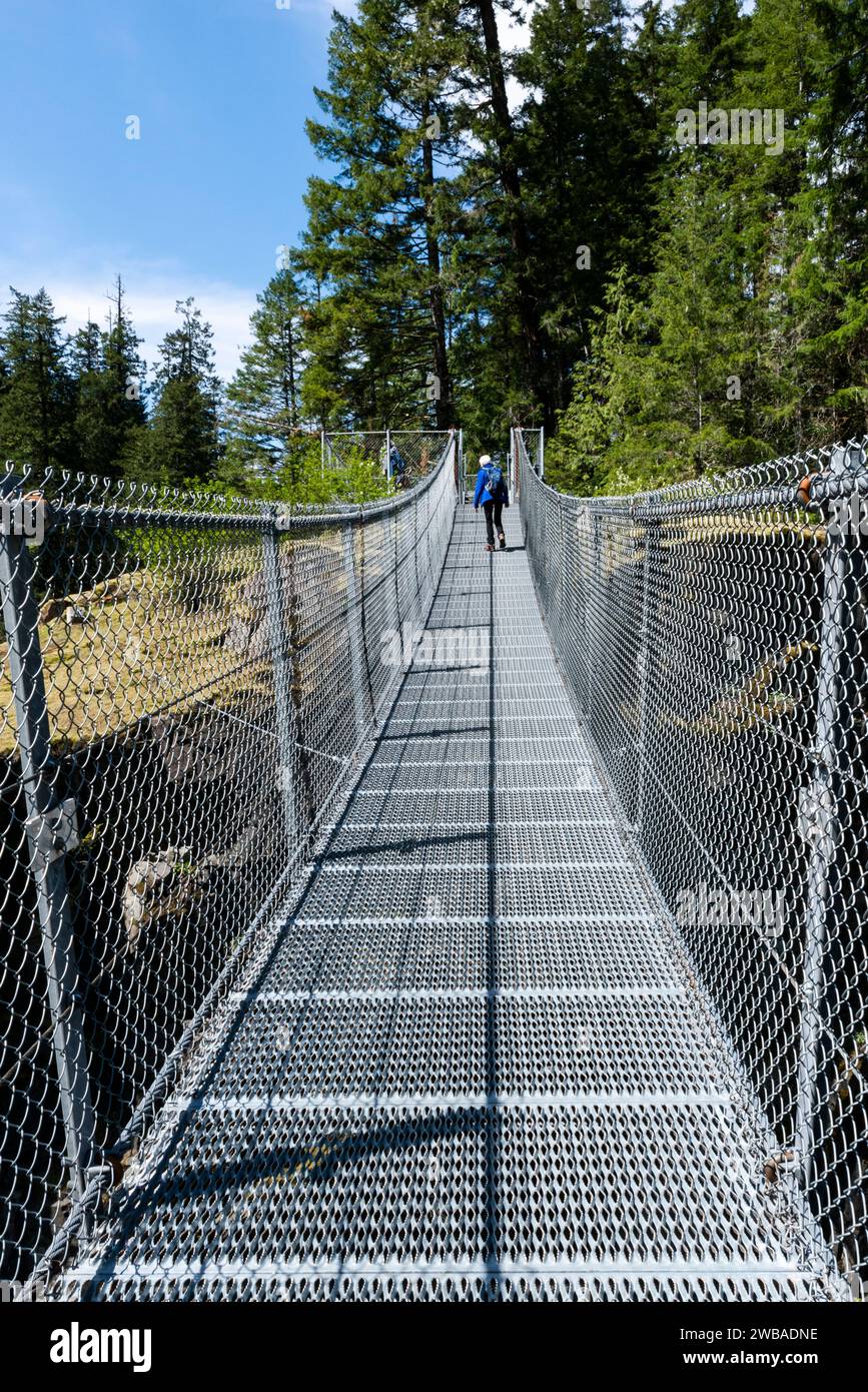A woman crosses a suspension bridge in the forest of Elk Falls Park ...