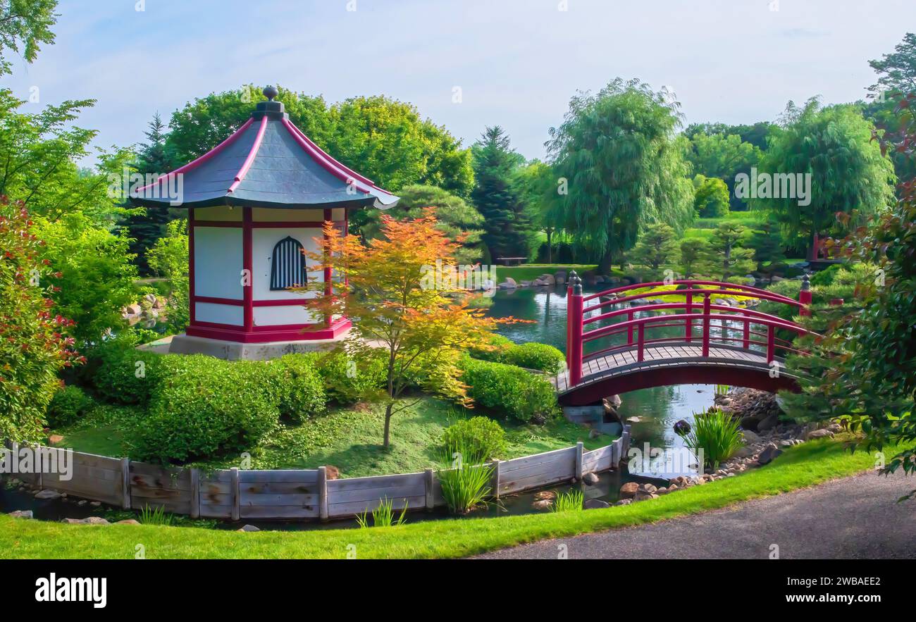 Beautiful spring morning scene of a Japanese garden with a Japanese ...