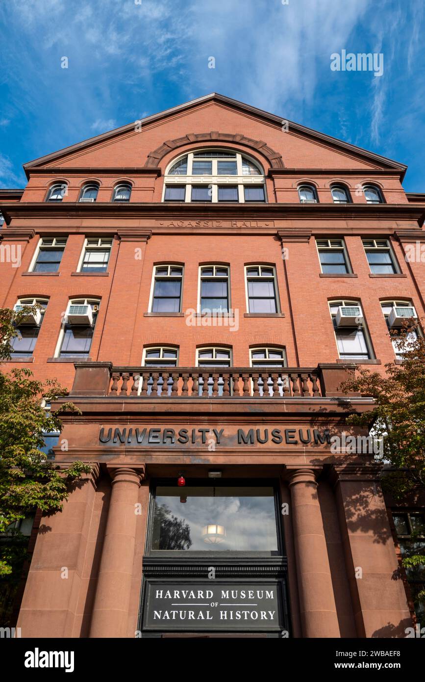 Harvard Museum of Natural History in Cambridge, MA Stock Photo - Alamy