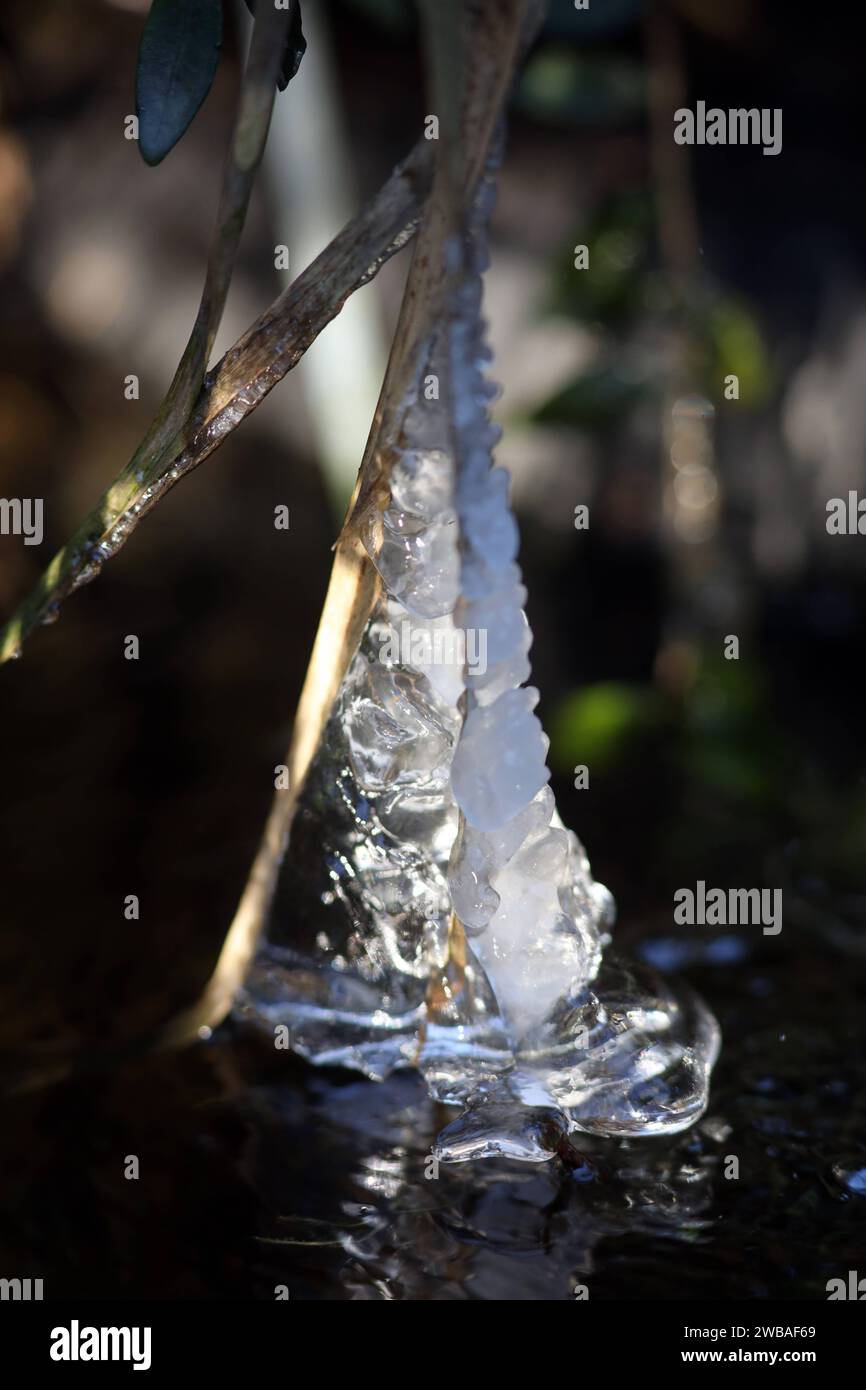 Winterliche Eisstrukturen nach Nachtfrösten Eisstrukturen die sich auf ...