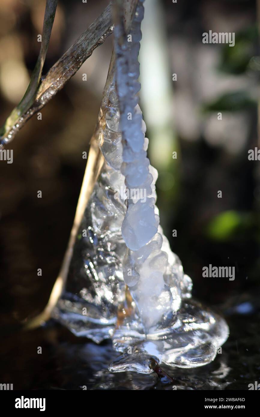 Winterliche Eisstrukturen nach Nachtfrösten Eisstrukturen die sich auf ...