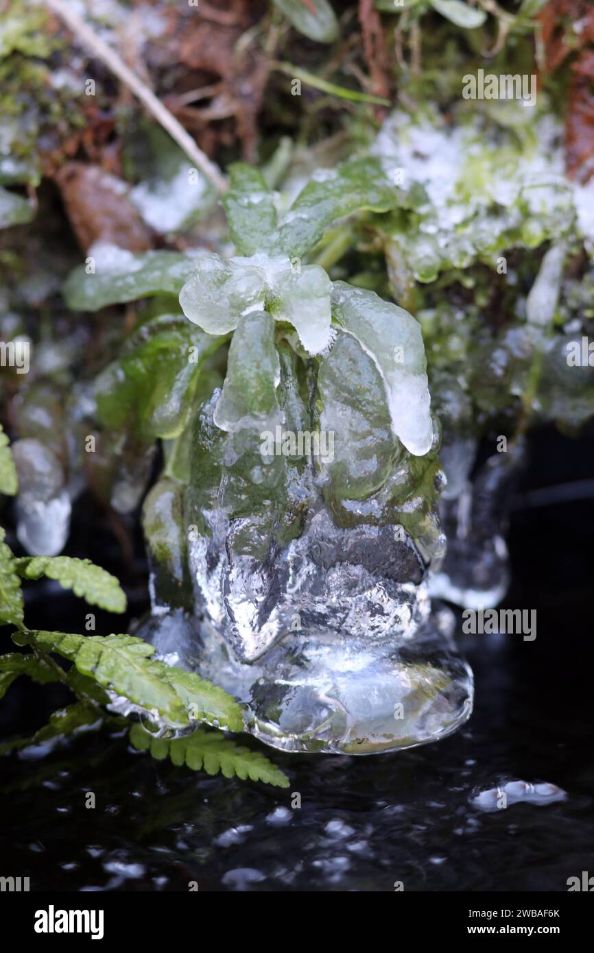 Winterliche Eisstrukturen nach Nachtfrösten Eisstrukturen die sich auf ...